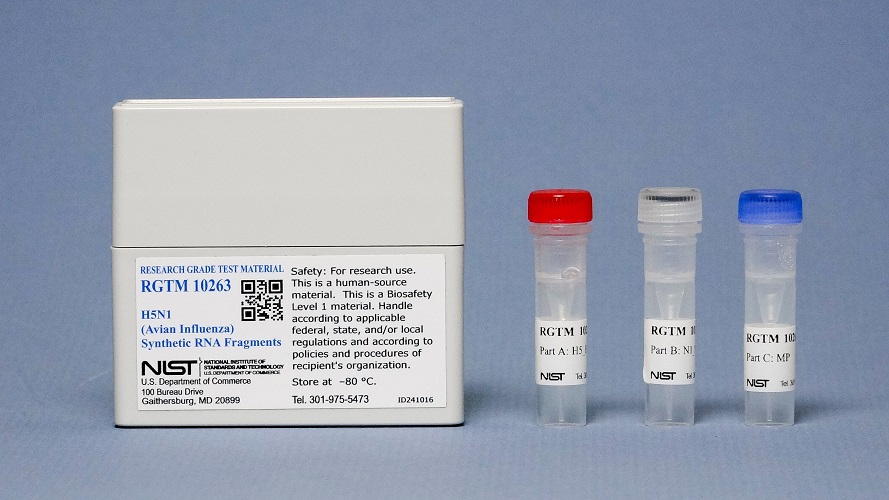 H5N1 (Avian Influenza) Synthetic RNA Fragments